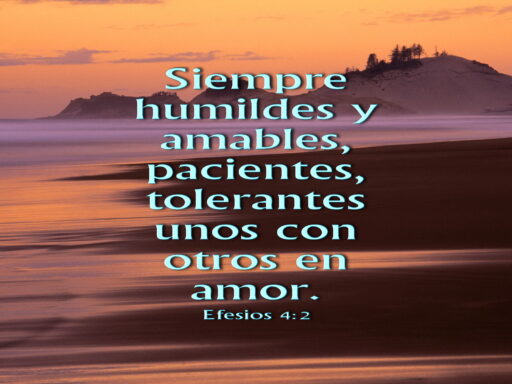 70 Versículos de la Biblia sobre la Humildad