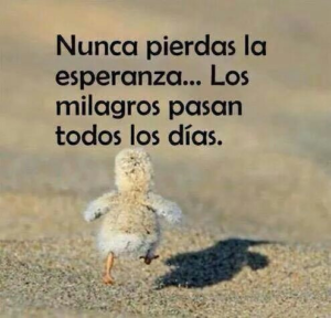 100+ Imágenes Cristianas sobre la FE EN DIOS Gratis ️