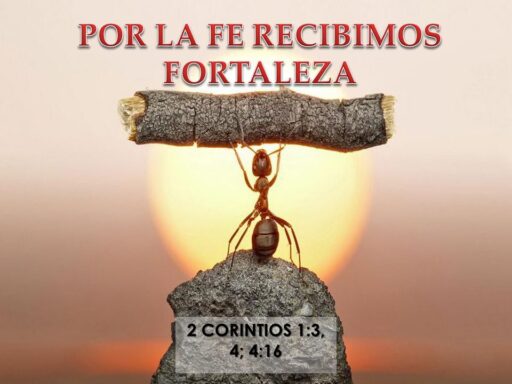 100+ Imágenes Cristianas sobre la FE EN DIOS Gratis ️